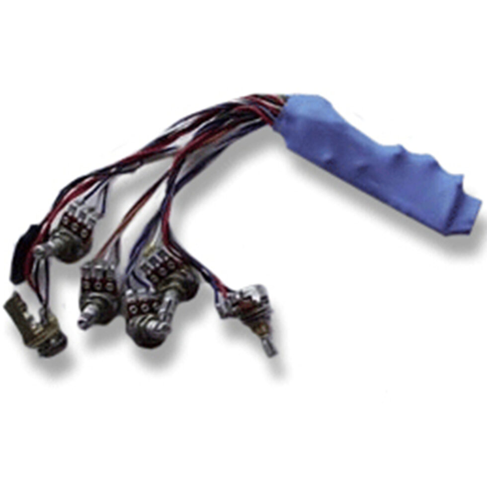 Bass Amplification | Demeter Amplification